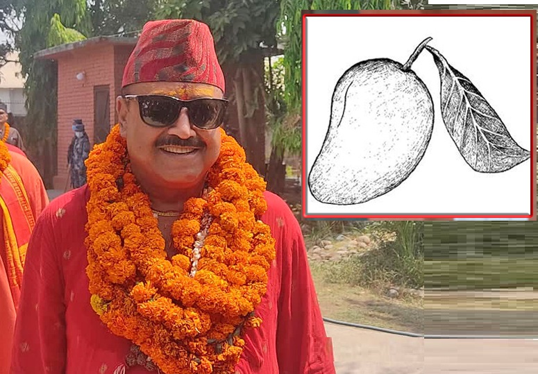 धनगढीका स्वतन्त्र उम्मेदवार हमाललाई आँप चुनाव चिन्ह प्रदान