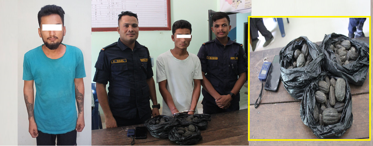 धनगढीमा लागुऔषध (खैरो हिरोईन) र चरेश सहित २ जना पक्राउ