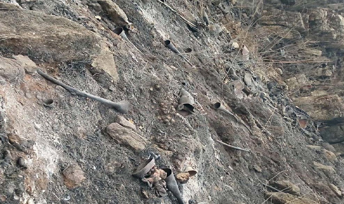 दार्चुलामा आगलागीका कारण बोटबिरुवा नष्ट, जीवजन्तु सङ्कटमा