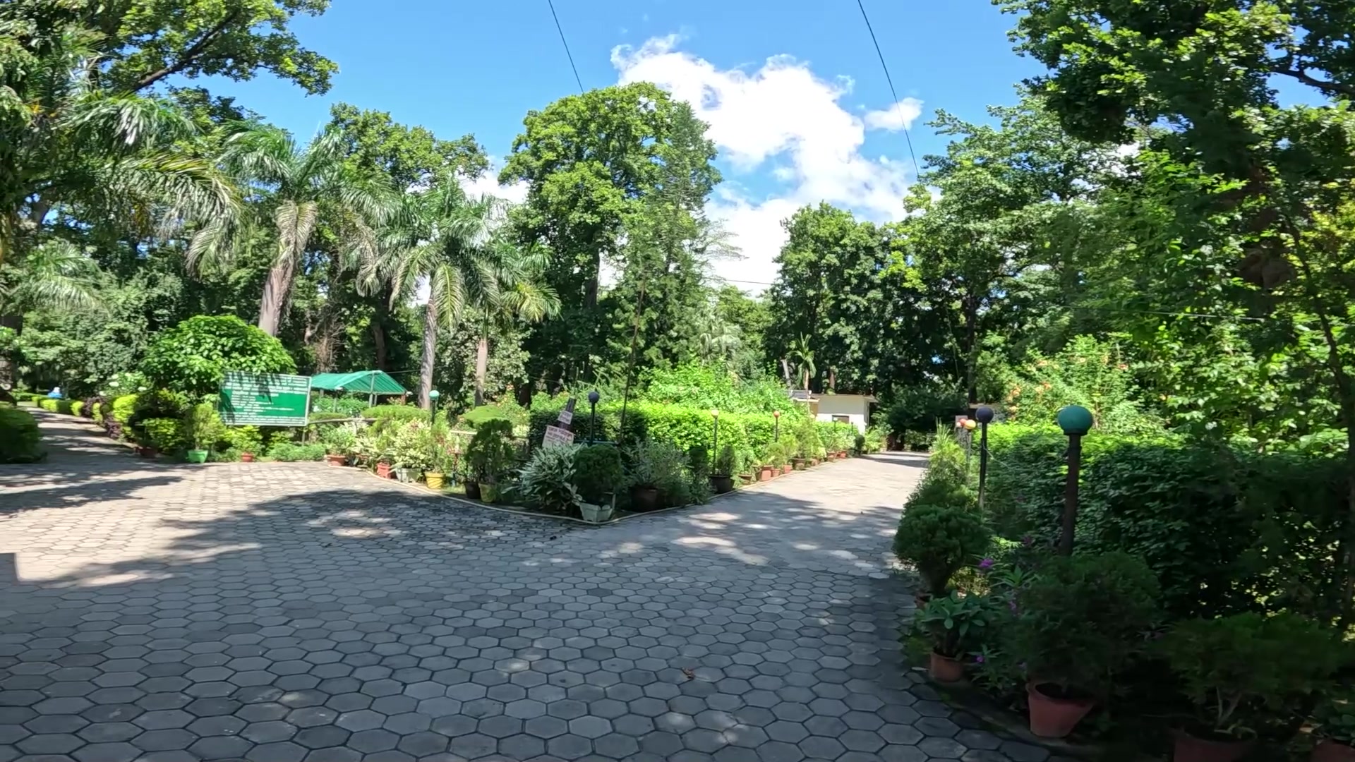 देवरिया बनस्पति उद्यानमा बनस्पति अनुसन्धान, संरक्षण तथा उद्यान विकास ...